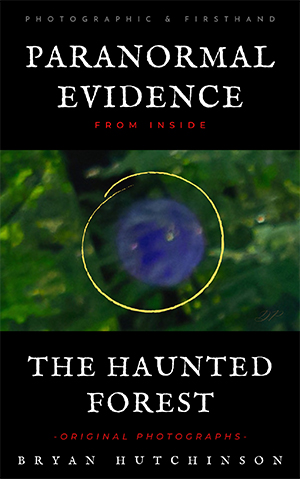 Mindblowing Photographs of Apparition in a Yellow Dress in the De Haar ...